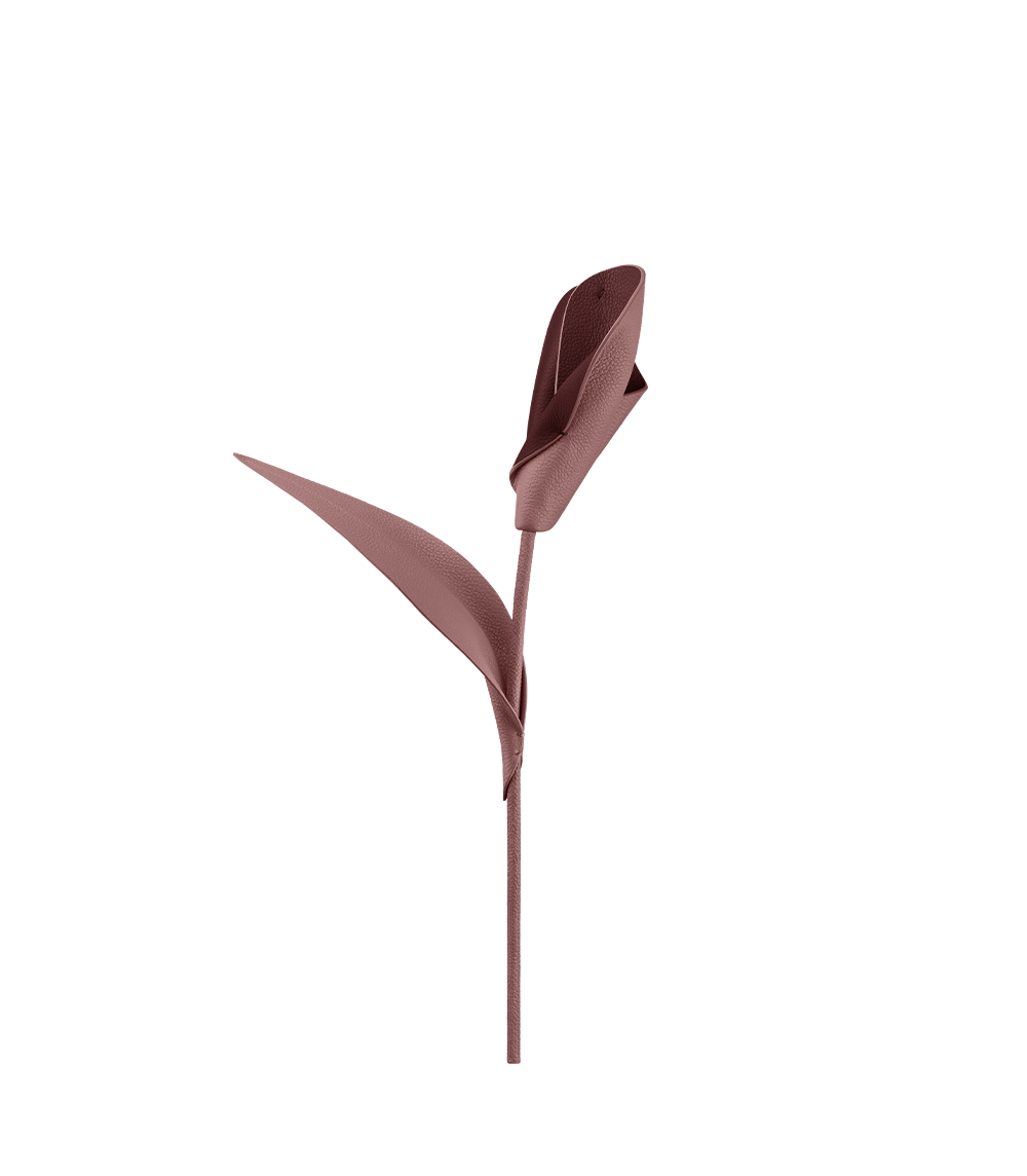 Polène | Flowers - Pili - Lilac – Polène ES